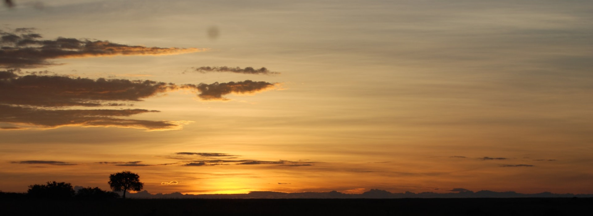 About Us | Wayne Leighton Solicitors